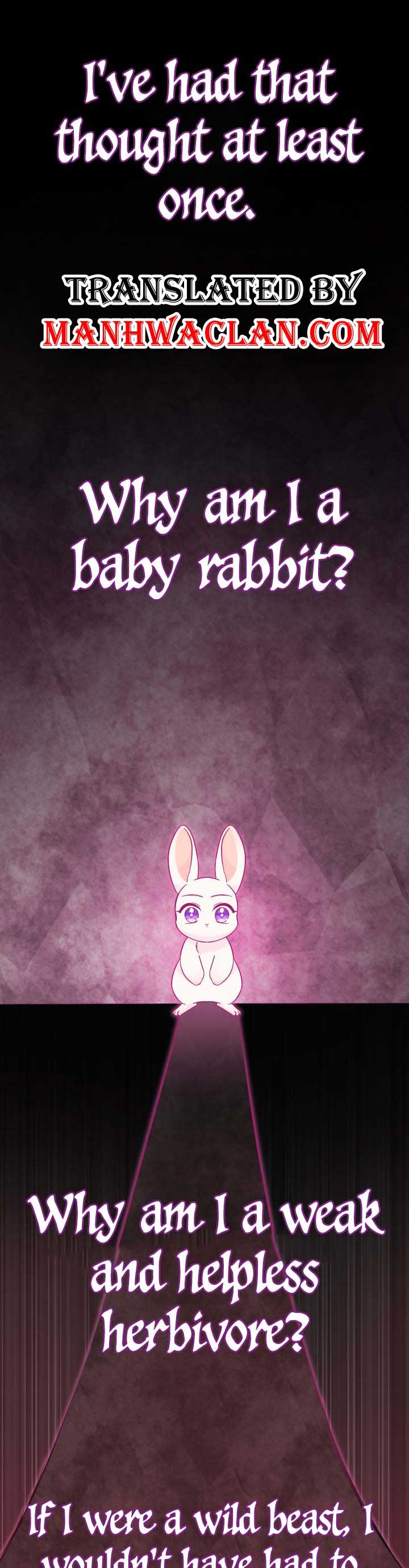 The Symbiotic Relationship Between the Rabbit and the Black Panther ...